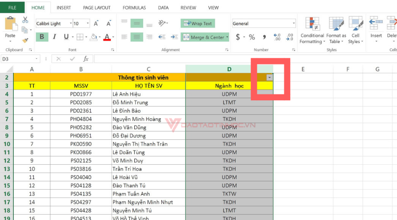 Hướng dẫn sử dụng filter trong excel để lọc dữ liệu.