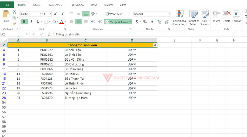 Hướng dẫn sử dụng filter trong excel để lọc dữ liệu.